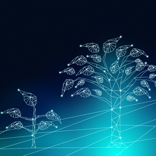 nexa law, Evolved Legal Services for Consulting Lawyers